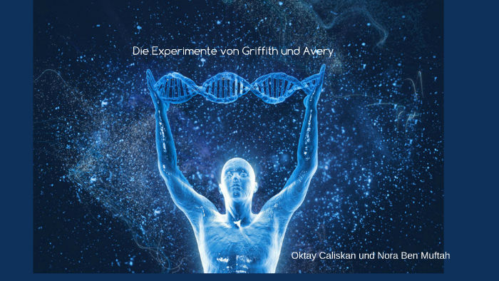 Die Experimente von Griffith und Avery by John Lennon on Prezi