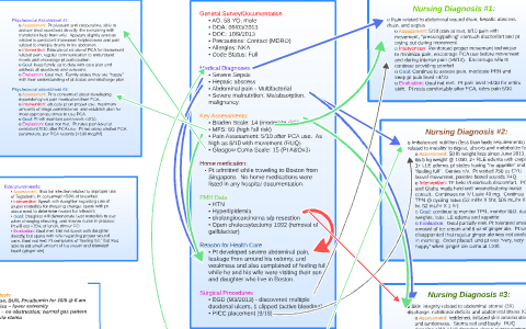 General Survey/Documentation by Ryan Allen on Prezi