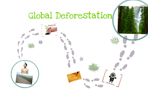Persuasive speech on Deforestation by Rafiqul Hoque on Prezi