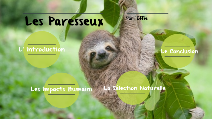 Les Paresseux by Effie Chen on Prezi