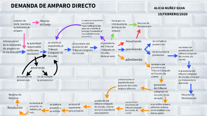 JUICIO DE AMPARO DIRECTO by alicia nuñez silva on Prezi