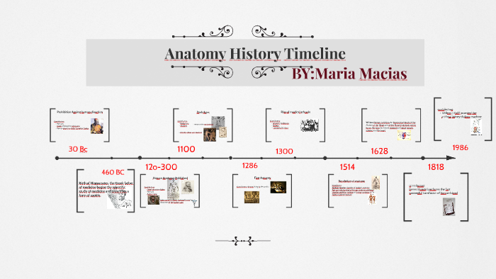 Anatomy History Timeline by maria macias on Prezi
