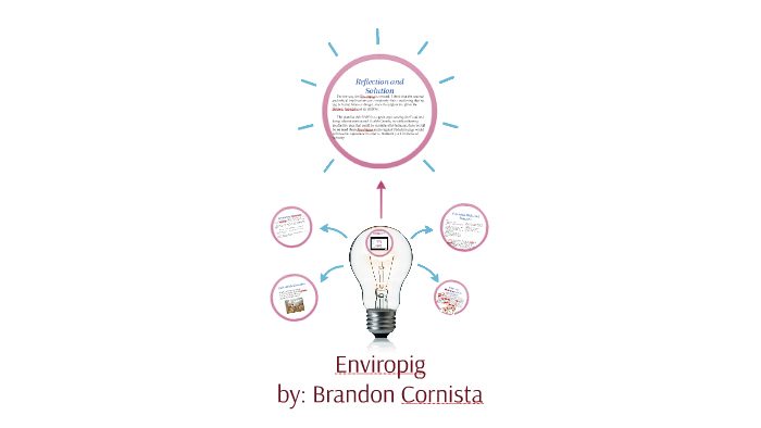 Enviropig by Brandon Co