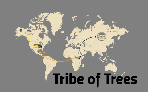 Tribe of Trees by katelyn libbee on Prezi