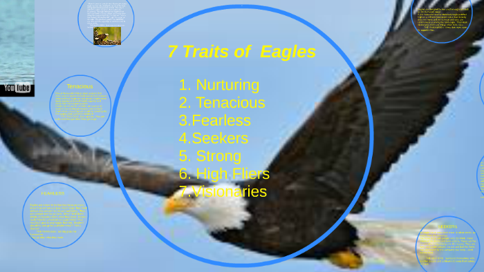 7 Traits of Eagles by kelley kirkland on Prezi
