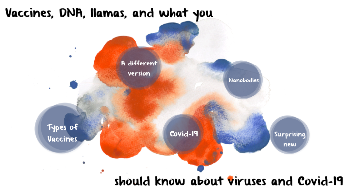 Vaccines, DNA, llamas, and what you should know about viruses and Covid ...