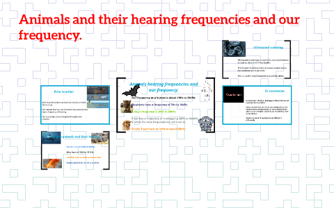 Animals and their hearing frequences. by Ethan Woodhouse on Prezi