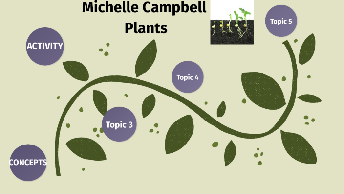Plants Thematic Unit Presentation by michelle campbell on Prezi