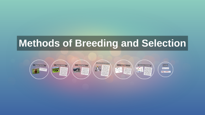 Methods of breeding by Andriana Smith on Prezi