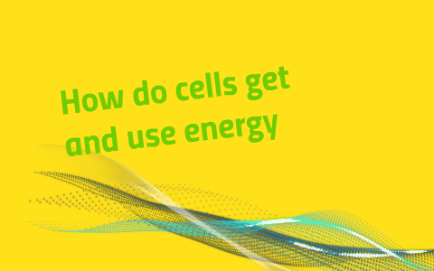 How do cells get and use energy by Sonic Ninja on Prezi