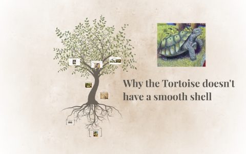 Why the Tortoise doesn't have a smooth shell by Darlley J