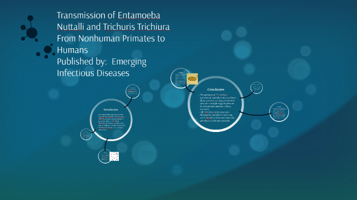 Transmission of Entamoeba Nuttalli and Trichuris Trichiura F by Chris ...