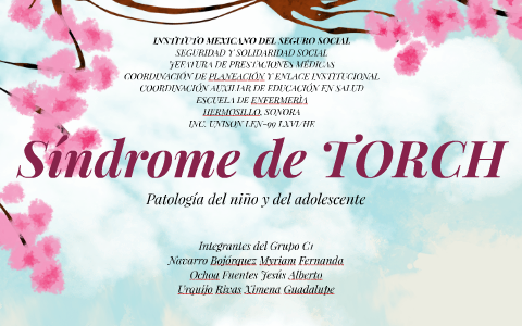 Síndrome de TORCH by xime u on Prezi