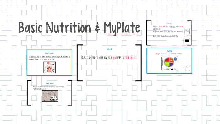 Basic Nutrition and MyPlate by Ashley Oney on Prezi