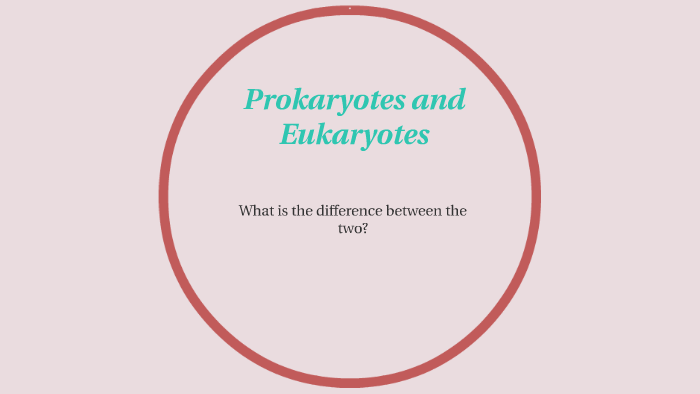 Prokaryotes and Eukaryotes by Alyssa Lowery Lowery