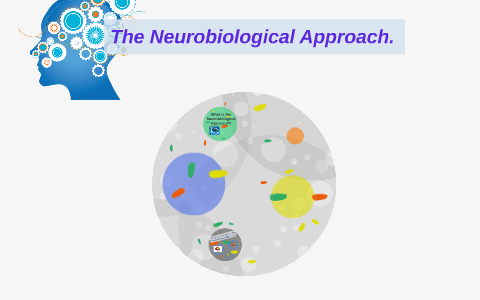 The Neurobiological Approach. by Kinder Armstrong on Prezi