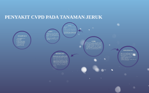 PENYAKIT CVPD PADA TANAMAN JERUK by Laylaa Ramadhani on Prezi