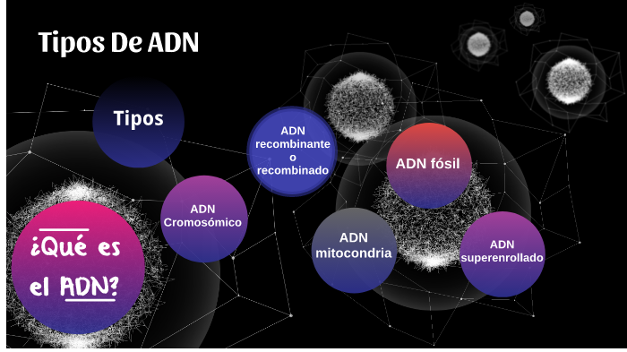Tipos de ADN by Jorge Cabezas Rojas on Prezi