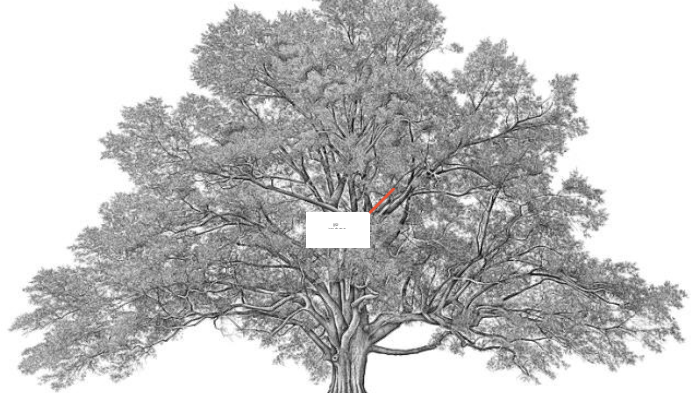 family tree by Dinasia Batista on Prezi