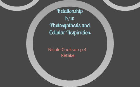 Relationship b/w Photosynthesis and Cellular Respiration by Nicole ...