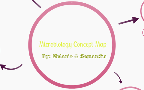 Microbiology Concept Map by Melanie Pacpaco on Prezi