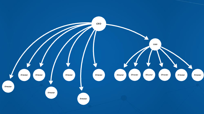 Org Chart by Peter Mosaad on Prezi