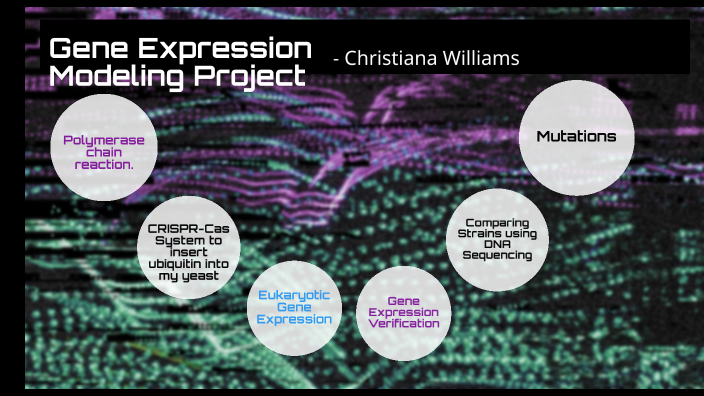 Gene Expression Modeling Project - Christi by Christiana Williams on Prezi