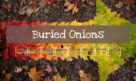 Buried onions by Asia Watts on Prezi
