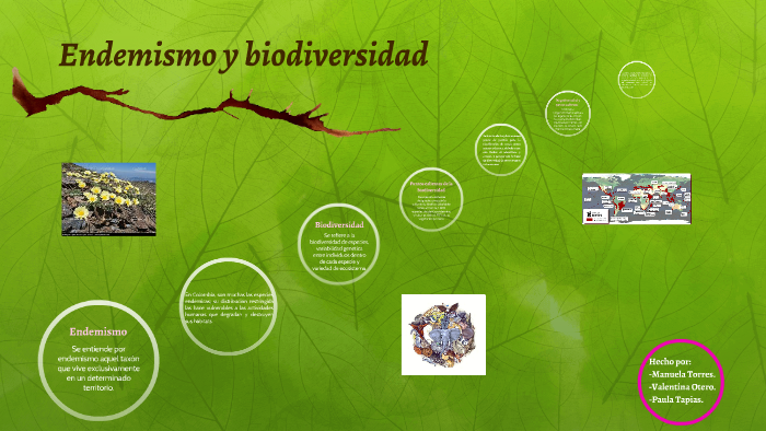 Endemismo y biodiversidad by manuela torres giraldo on Prezi