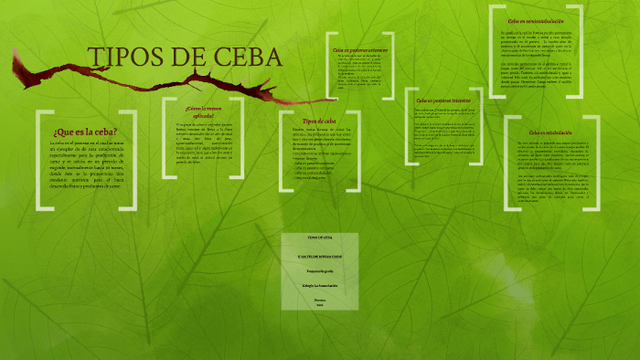 TIPOS DE CEBA by Felipe Rivera Uribe on Prezi