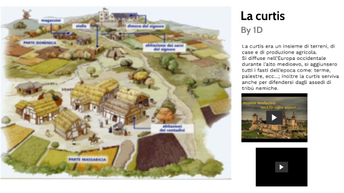 La curtis by Antonio Cerrato on Prezi