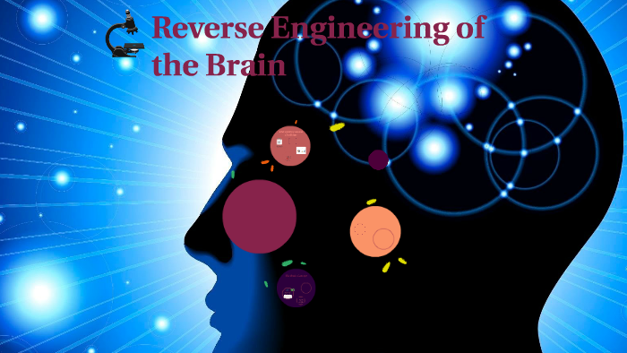 Reverse Engineering of the Brain by on Prezi