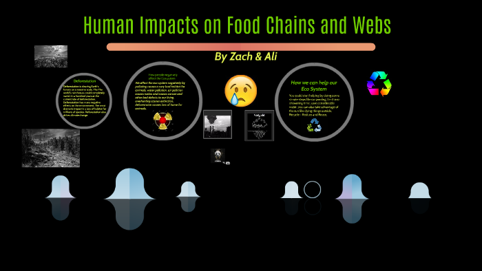 Human Impacts on Food Chains and Webs by Zach Todd on Prezi