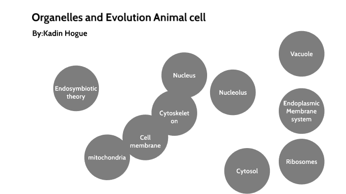 Organelles and Evolution by Kadin Hogue on Prezi