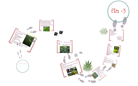Ways we use and abuse soil by James Surtees on Prezi