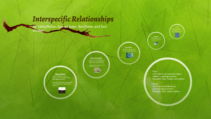 Interspecific Relationships by toni winiker
