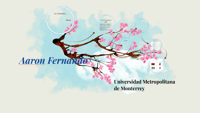 Aaron Fernando by Aaron Fernand Chavarria Valdez on Prezi