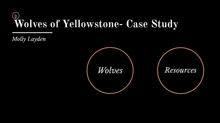 Wolves of Yellowstone Case Study by Molly Layden on Prezi
