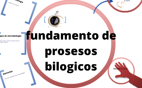 fundamento de procesos biologicos by samantha blandon on Prezi