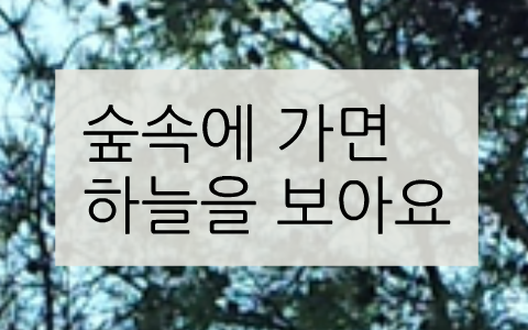 vbbnn by 신 미숙 on Prezi