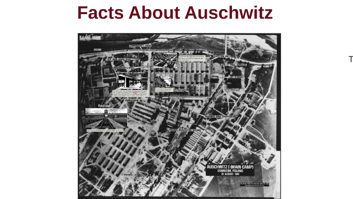 Facts About Auschwitz by Ethan Davis on Prezi