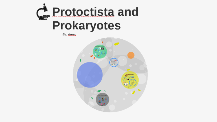 Protoctista and Prokaryotes by Rehab Sohail on Prezi