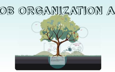 JOB ORGANIZATION AND INFORMATION by on Prezi