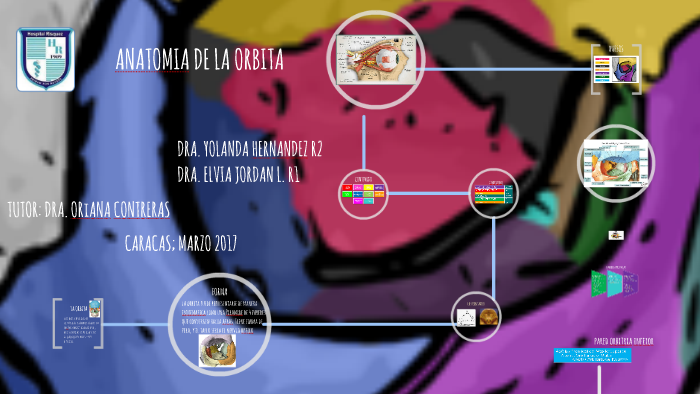 ANATOMIA DE LA ORBITA by Elvia Jordan on Prezi