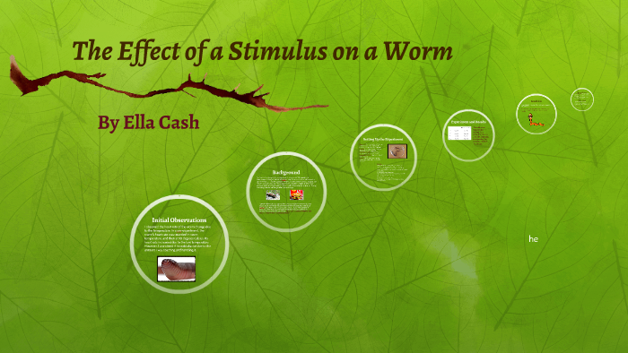 The Worm Whisperer by Ella Cash on Prezi