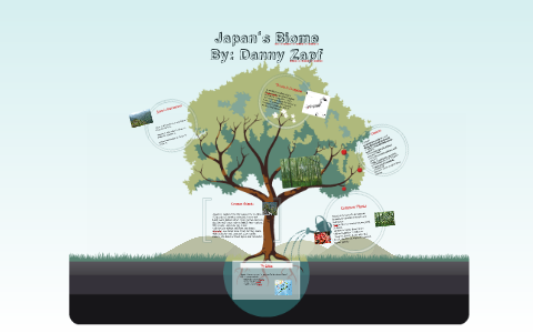 Japan's Biome by Danny Zapf on Prezi