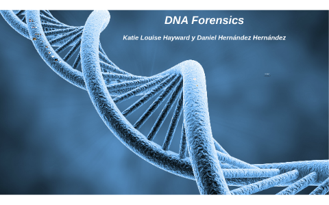 DNA Forensics by Katie Hayward on Prezi