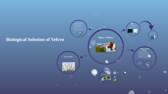 Burr = Velcro by Anastasiya Timkina on Prezi