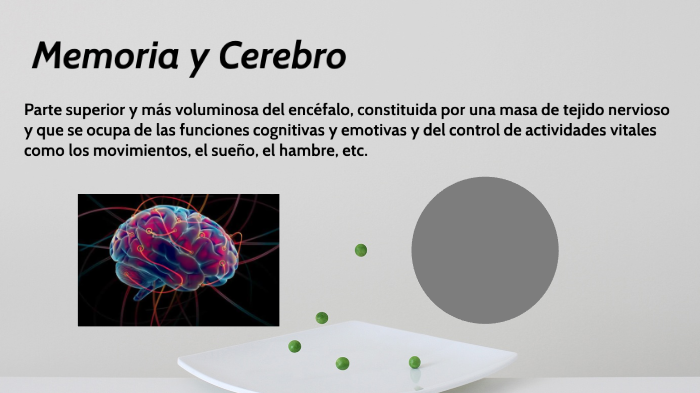 Memoria Y Cerebro By Roberto Elí García Galán On Prezi