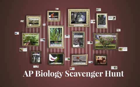 AP Biology Scavenger Hunt by Dalas Hayes on Prezi